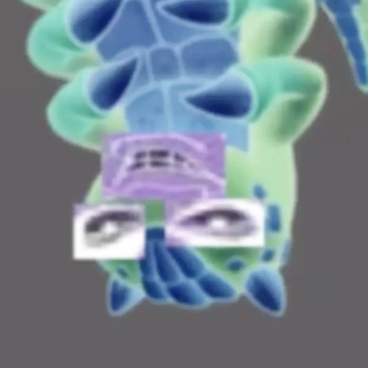 travel through time to view my history of pfps | Fandom