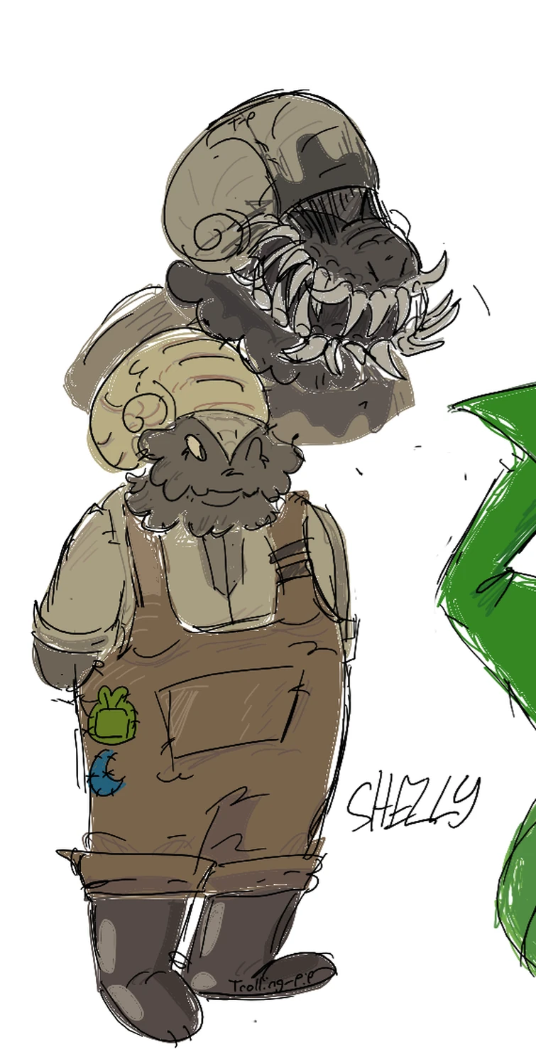 Show me your shelly designs | Fandom