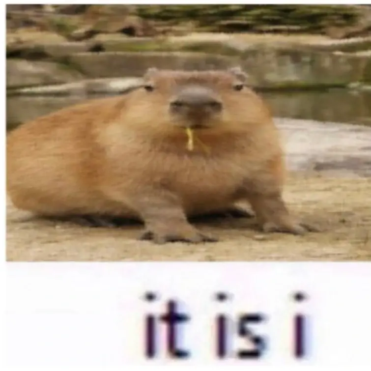 Gort circle | Fandom