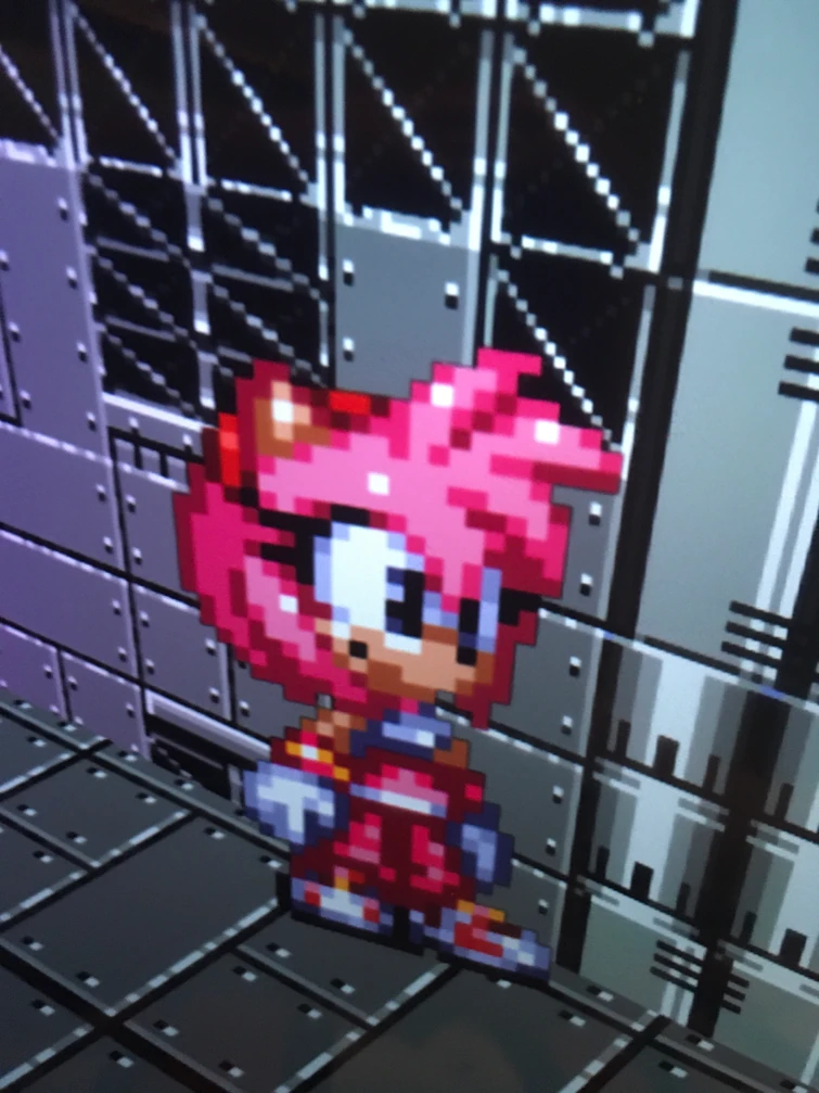 Riders Amy rose in ROBLOX | Fandom