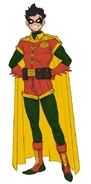 Robin | DCEU Remastered Wiki | Fandom