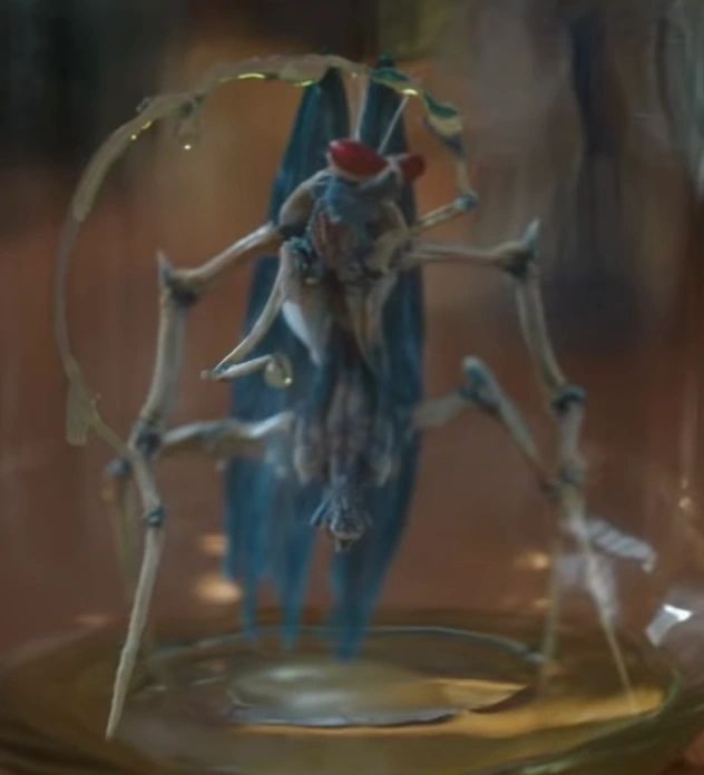 Categoría:Butterflies | DC Extended Universe Wiki | Fandom