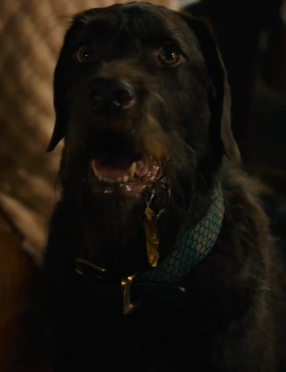 Arthur | DC Extended Universe Wiki | Fandom