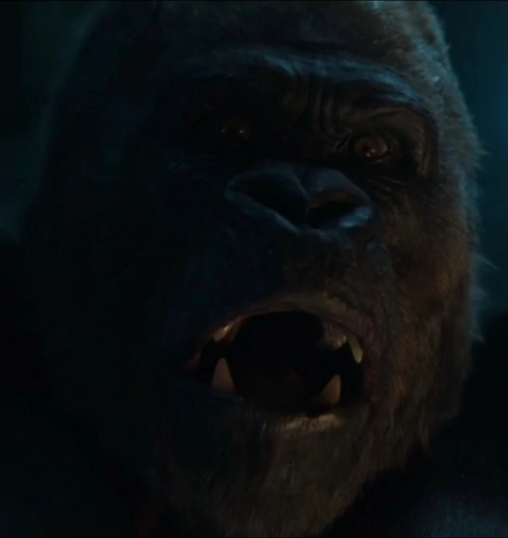 Charlie | DC Extended Universe Wiki | Fandom