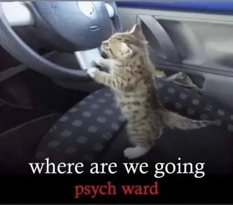 QOTD (1) - Nicest Oc? | Fandom