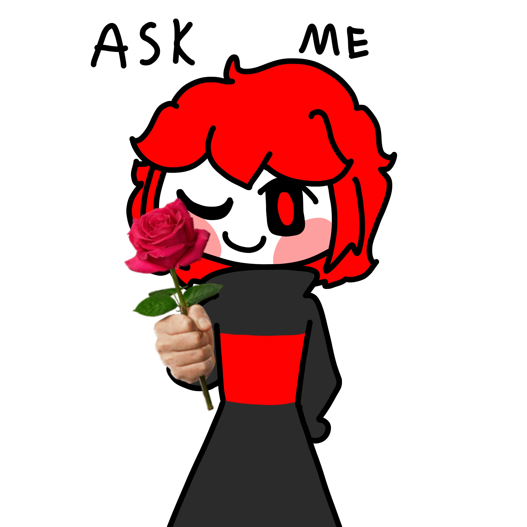 QnA for Hacker Cookie!!!1!!11 | Fandom