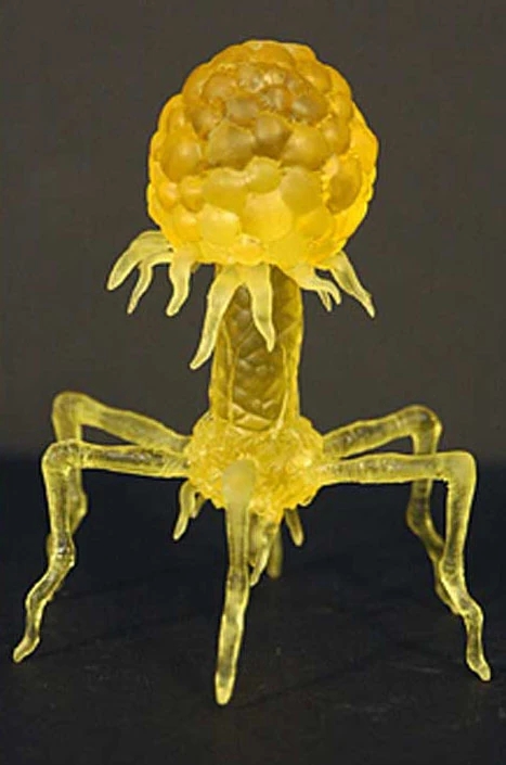 Despotellis (GLC wave 2) | DC Hall of Justice Wiki | Fandom