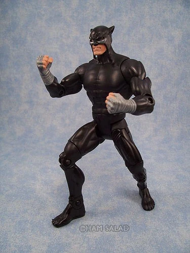 Wildcat (black)(DCUC wave 9) | DC Hall of Justice Wiki | Fandom