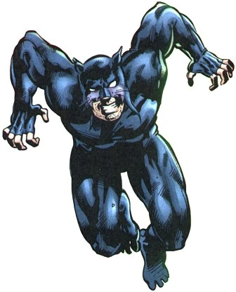 Wildcat (DC Universe) | DC Hall of Justice Wiki | Fandom