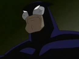Wildcat (JLU) | DC Hall of Justice Wiki | Fandom