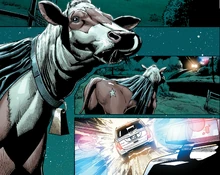 Bovinos | DC Heroes RPG Wiki | Fandom