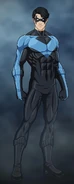 Dick Grayson | Earth 11 Wiki | Fandom