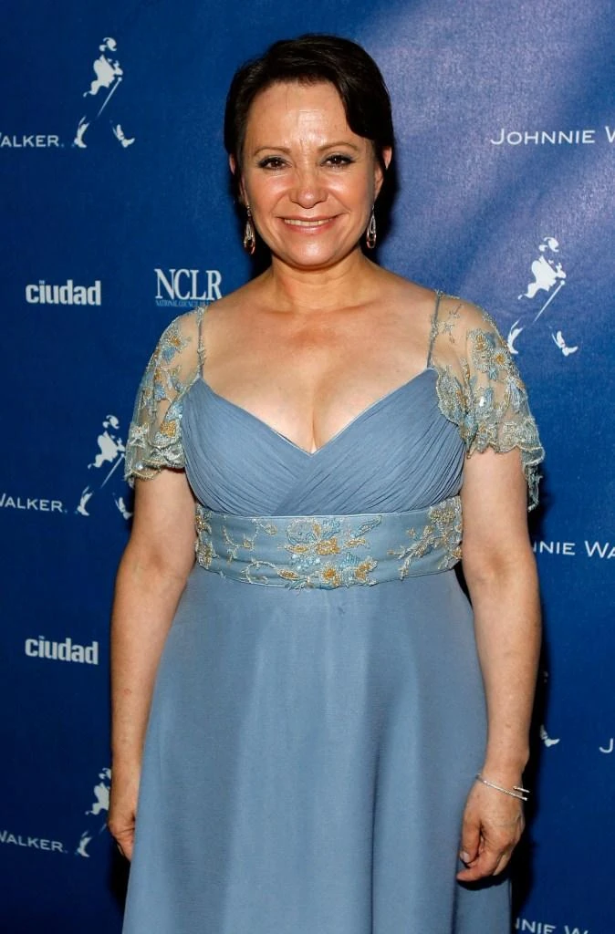 Adriana Barraza | DC Movies Wiki | Fandom