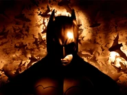 Batman Begins | DC Movies Wiki | Fandom