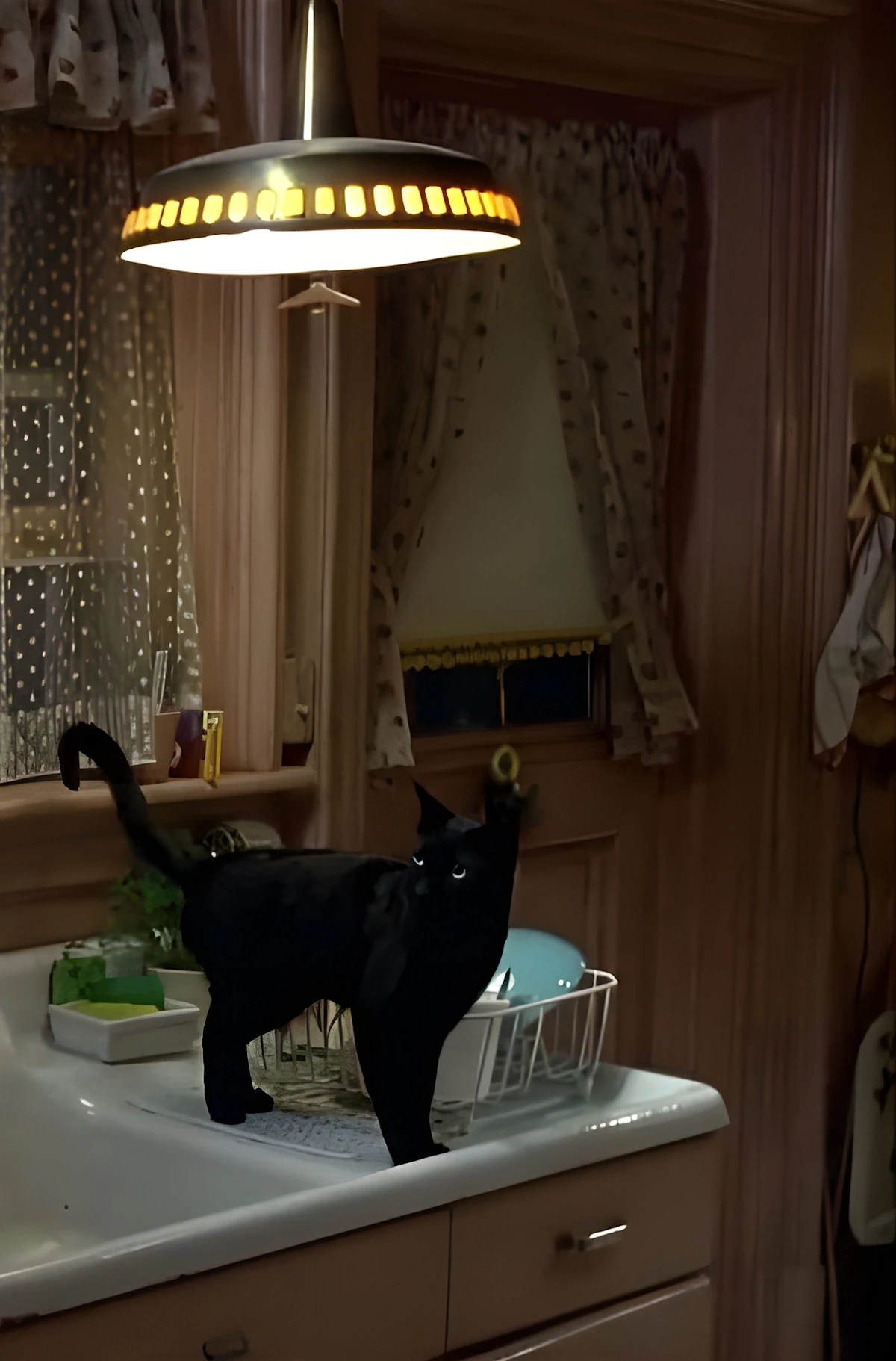 Miss Kitty (Burtonverse) | DC Movies Wiki | Fandom