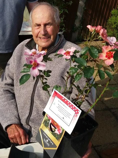 Peter Brace | DC Movies Wiki | Fandom