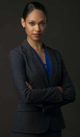 Amanda Waller (Arrowverse) | DC Movies Wiki | Fandom