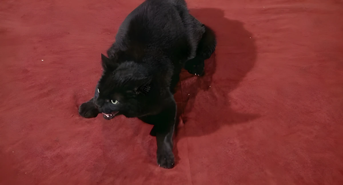 Hecate (Dozierverse) | DC Movies Wiki | Fandom