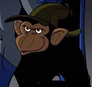 Detective Chimp | DC Movies Wiki | Fandom