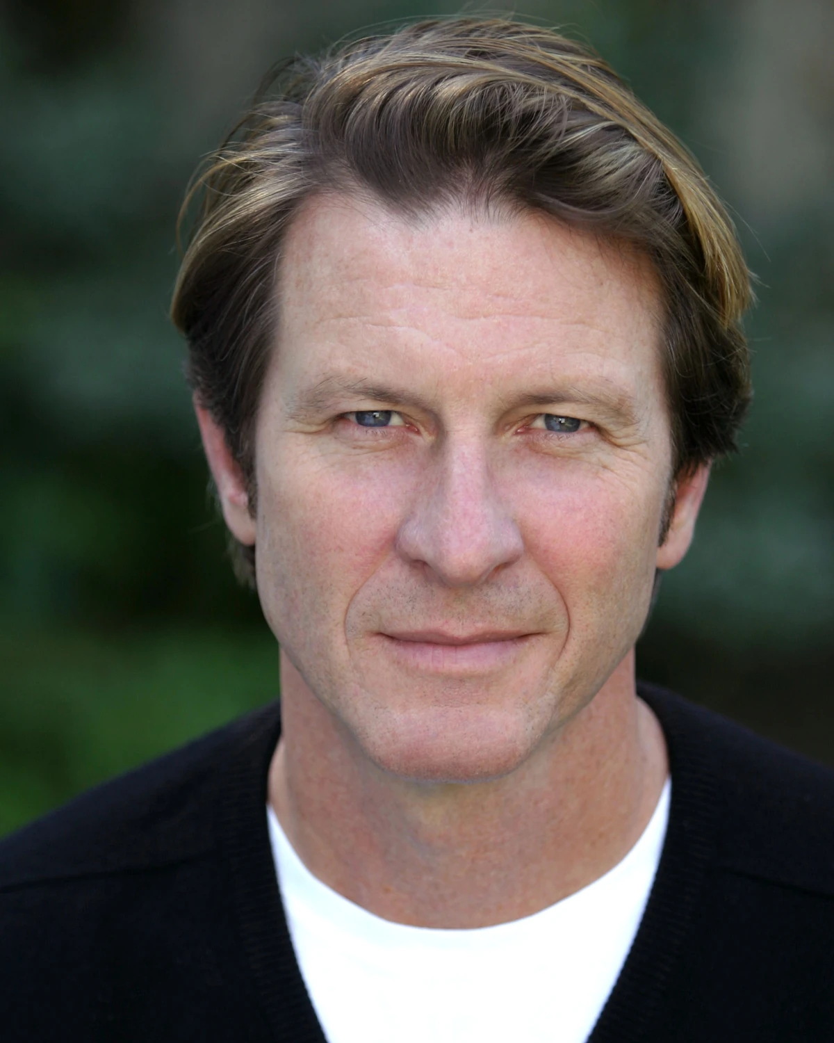 Brett Cullen | DC Movies Wiki | Fandom