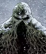 Swamp Thing | DC Universe Wiki | Fandom