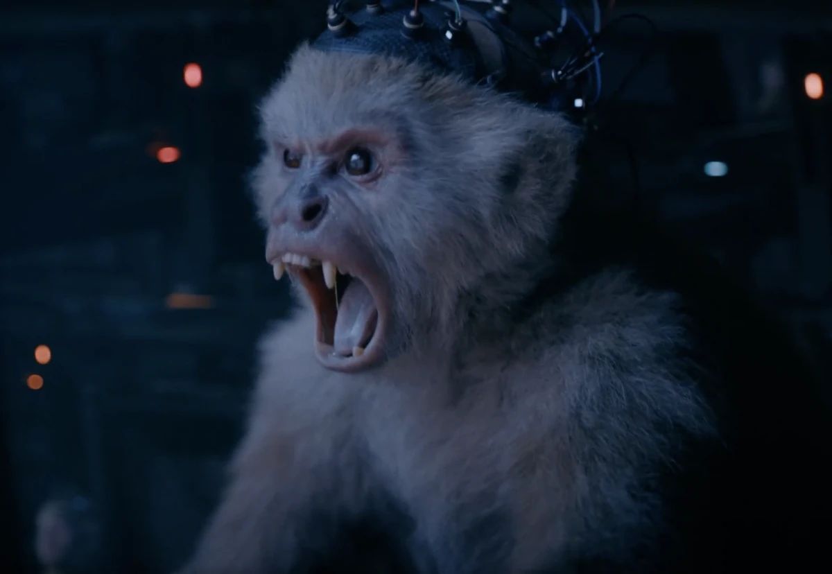 Monkey Bots | DC Universe Wiki | Fandom