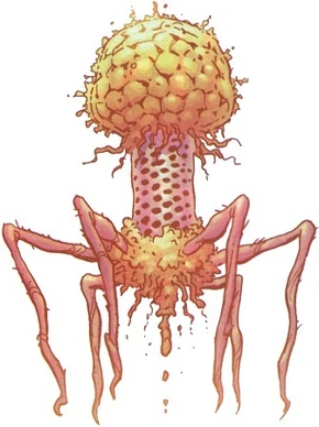 Despotellis | DC Wiki | Fandom