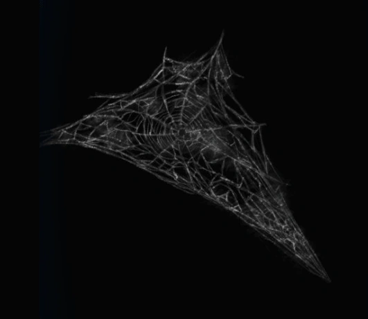 Corner Cobwebs - Wall | DC Universe Online Wiki | Fandom