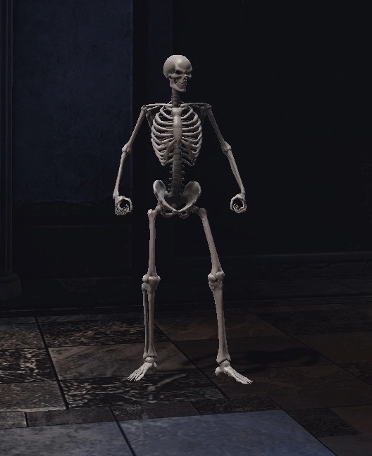 Essence of the Skeleton | DC Universe Online Wiki | Fandom