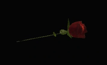 Memorial Flower - Rose | DC Universe Online Wiki | Fandom