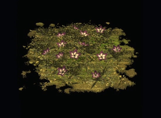 Flower Patch - Purple | DC Universe Online Wiki | Fandom