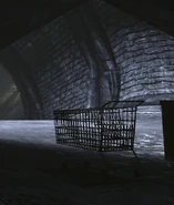 Rickety Shopping Cart | DC Universe Online Wiki | Fandom