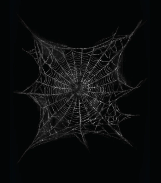 Cobweb - Wall | DC Universe Online Wiki | Fandom