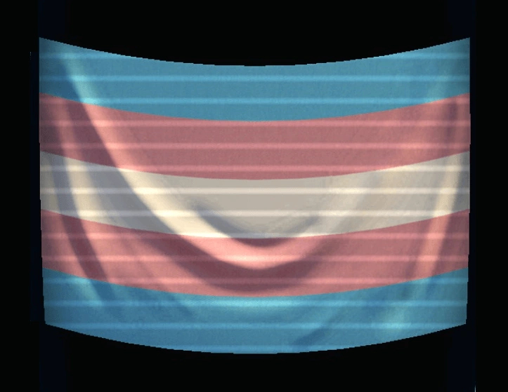 Trans Flag | DC Universe Online Wiki | Fandom