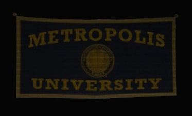 Metropolis University Banner | DC Universe Online Wiki | Fandom