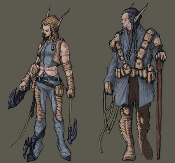 Elves | D&D Paraworld Wikia | Fandom