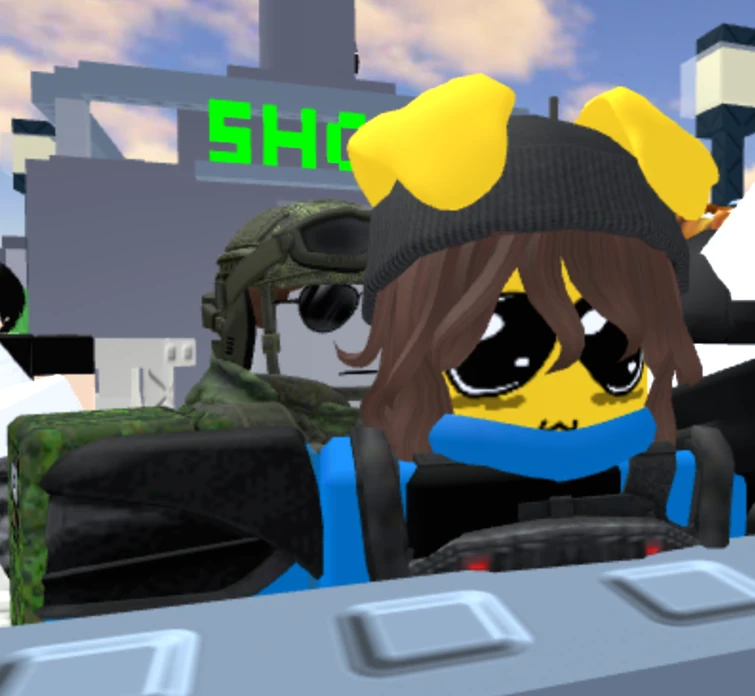 Discuss Everything About Dummies vs Noobs Wiki | Fandom