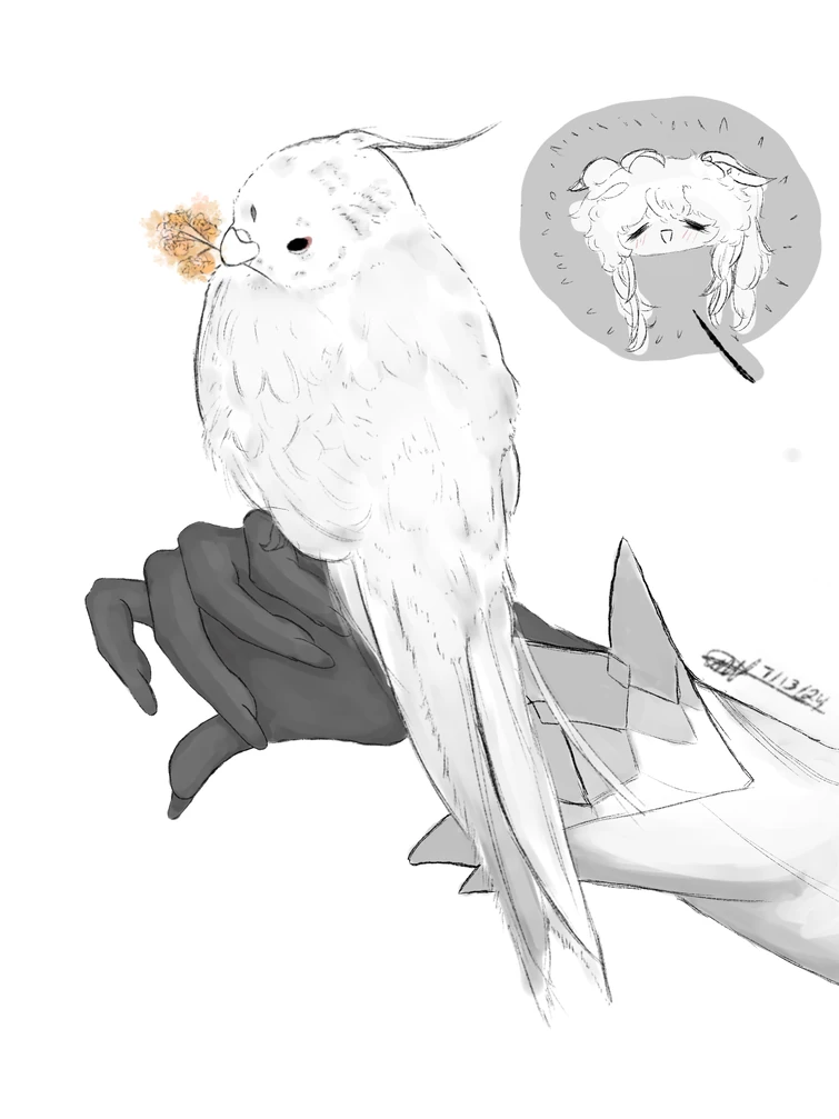 Xiao bird :D | Fandom