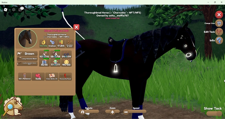 Mini trading post | Fandom