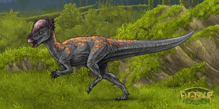 Dracorex | Fandom