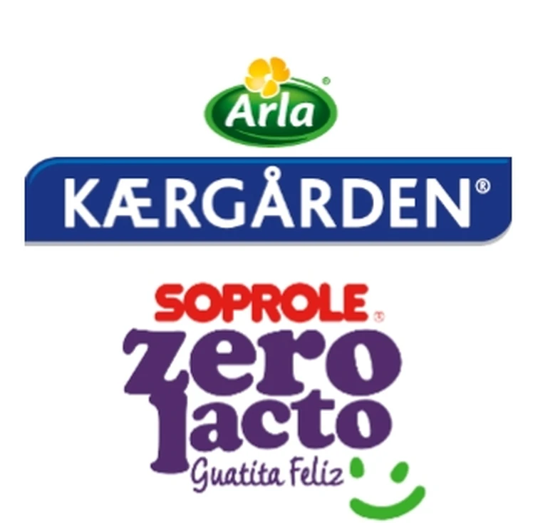 Natural Wealth Chile Logo Vector Background | Fandom