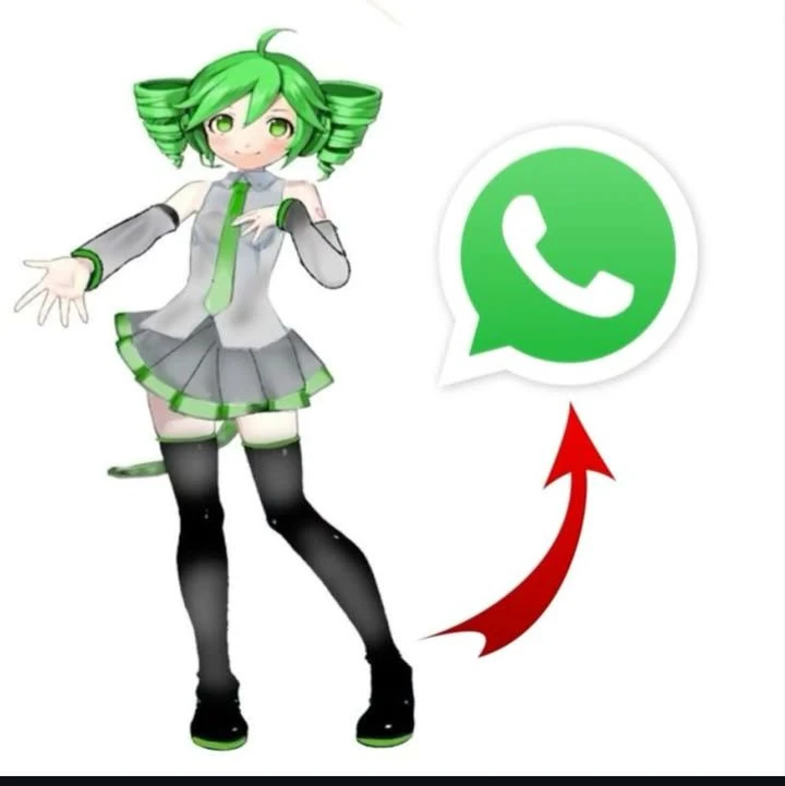 wtf happened for whatsapp to become a meme | Fandom