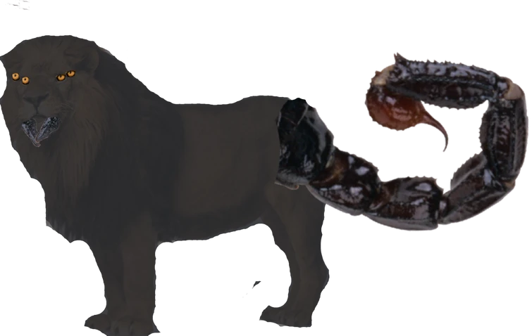 Discuss Everything About Amphibia Wiki | Fandom