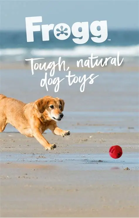 Daily Frog And Chat #146 | Fandom