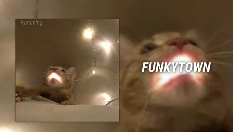 I’m dying- | Fandom