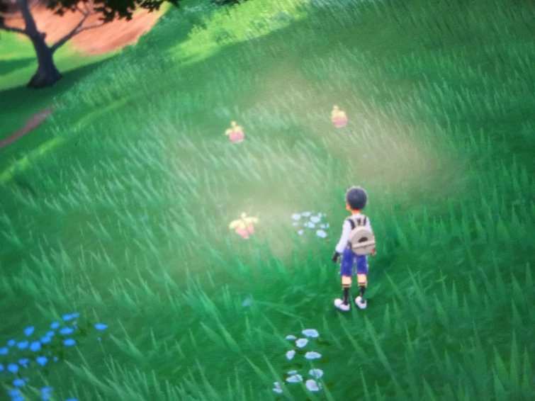 Pokémon fandom Pokémon play through void part 4 Thanks captain obvious ...