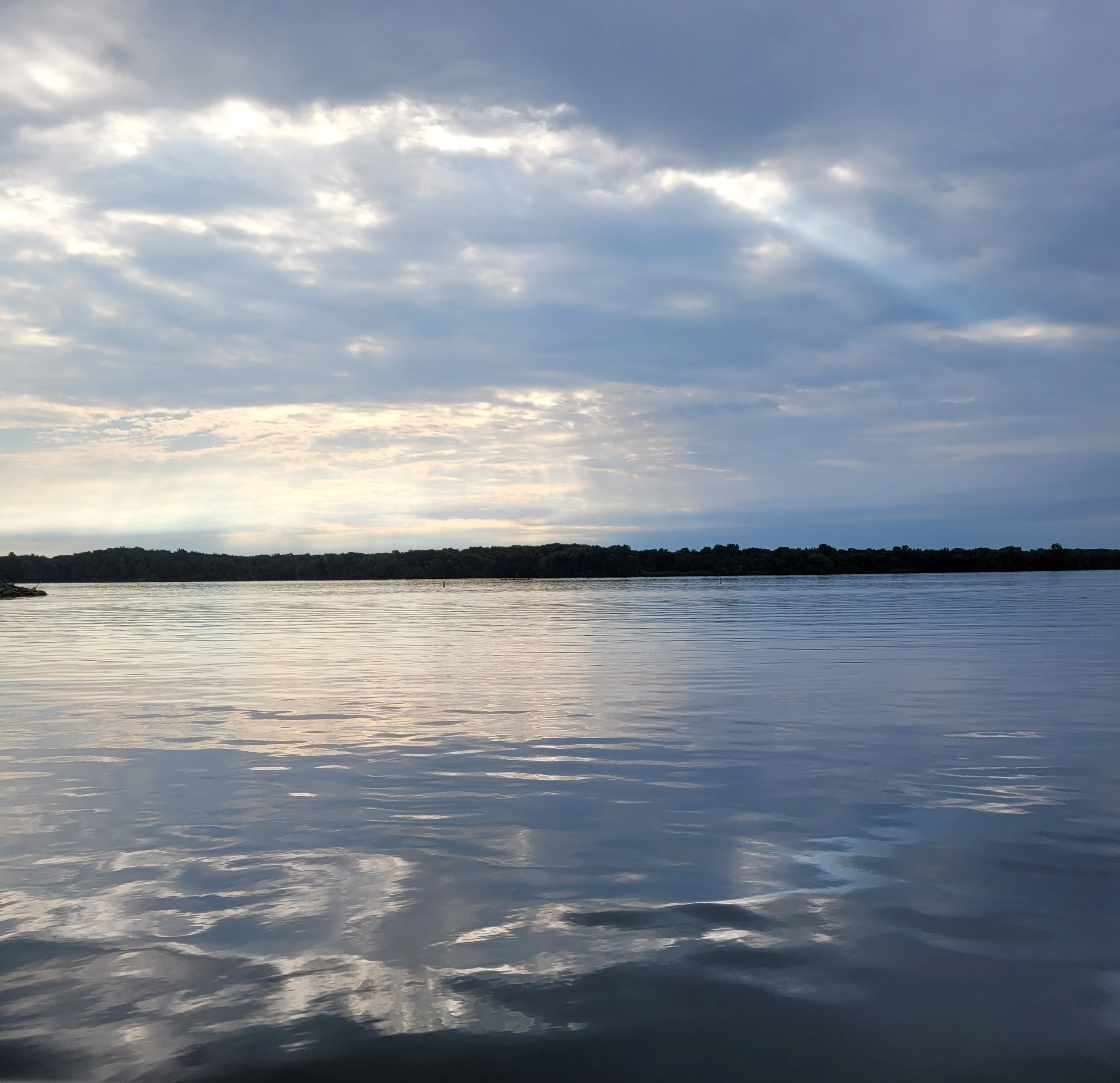 What creatures would fit well in this photo | Fandom