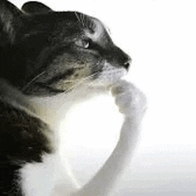 reposting of the posts (2 posts) | Fandom