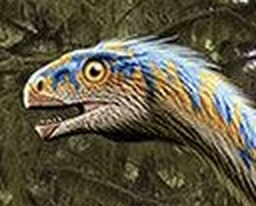 Discuss Everything About Dinopedia | Fandom