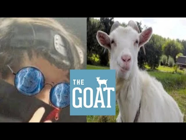 Watch my new video, because why not? | Fandom